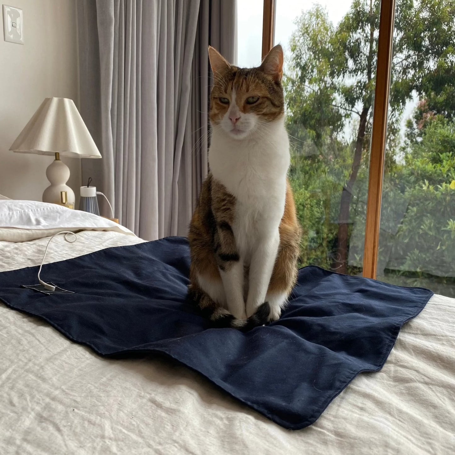 Grounding Pet Mat - Reduced Anxiety For Your Pet