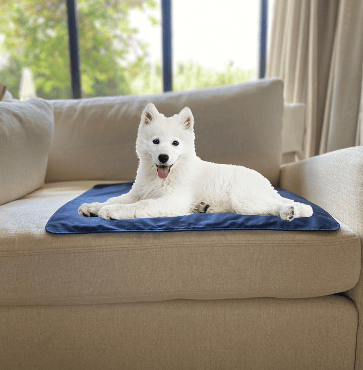 What is Earthing and How Will It Help? – Premium Grounding